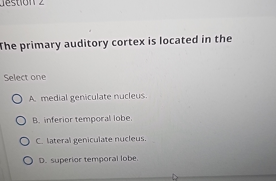 Solved The primary auditory cortex is located in theSelect | Chegg.com