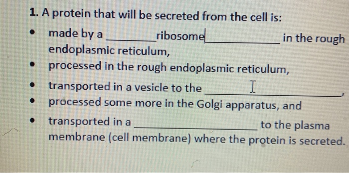Solved 1. A protein that will be secreted from the cell is: | Chegg.com