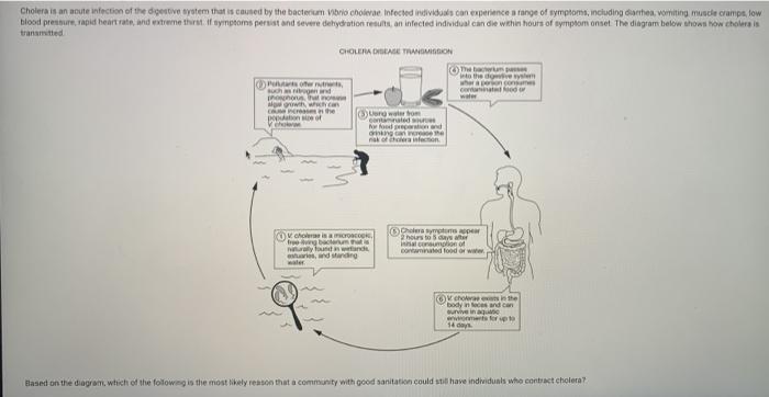 Solved Cholera is an acute infection of the digestive system | Chegg.com