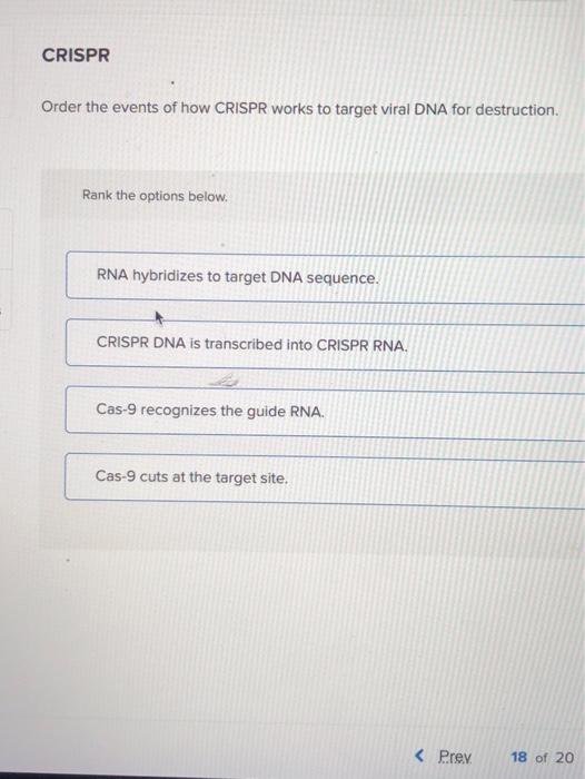 Solved CRISPR Order the events of how CRISPR works to target | Chegg.com