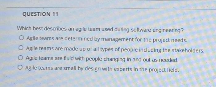 Solved Which best describes an agile team used during | Chegg.com