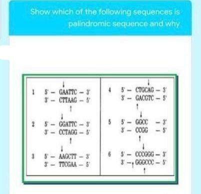 Solved Show which of the following sequences is palindromic | Chegg.com