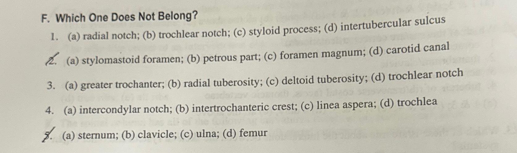 Solved F. ﻿Which One Does Not Belong?(a) ﻿radial notch; (b) | Chegg.com