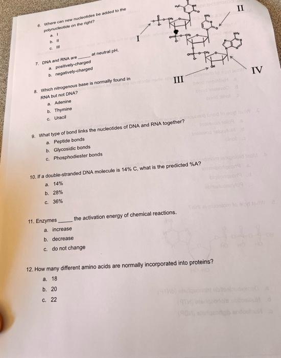 Solved All questions are wilh 1 point unless otherwise | Chegg.com