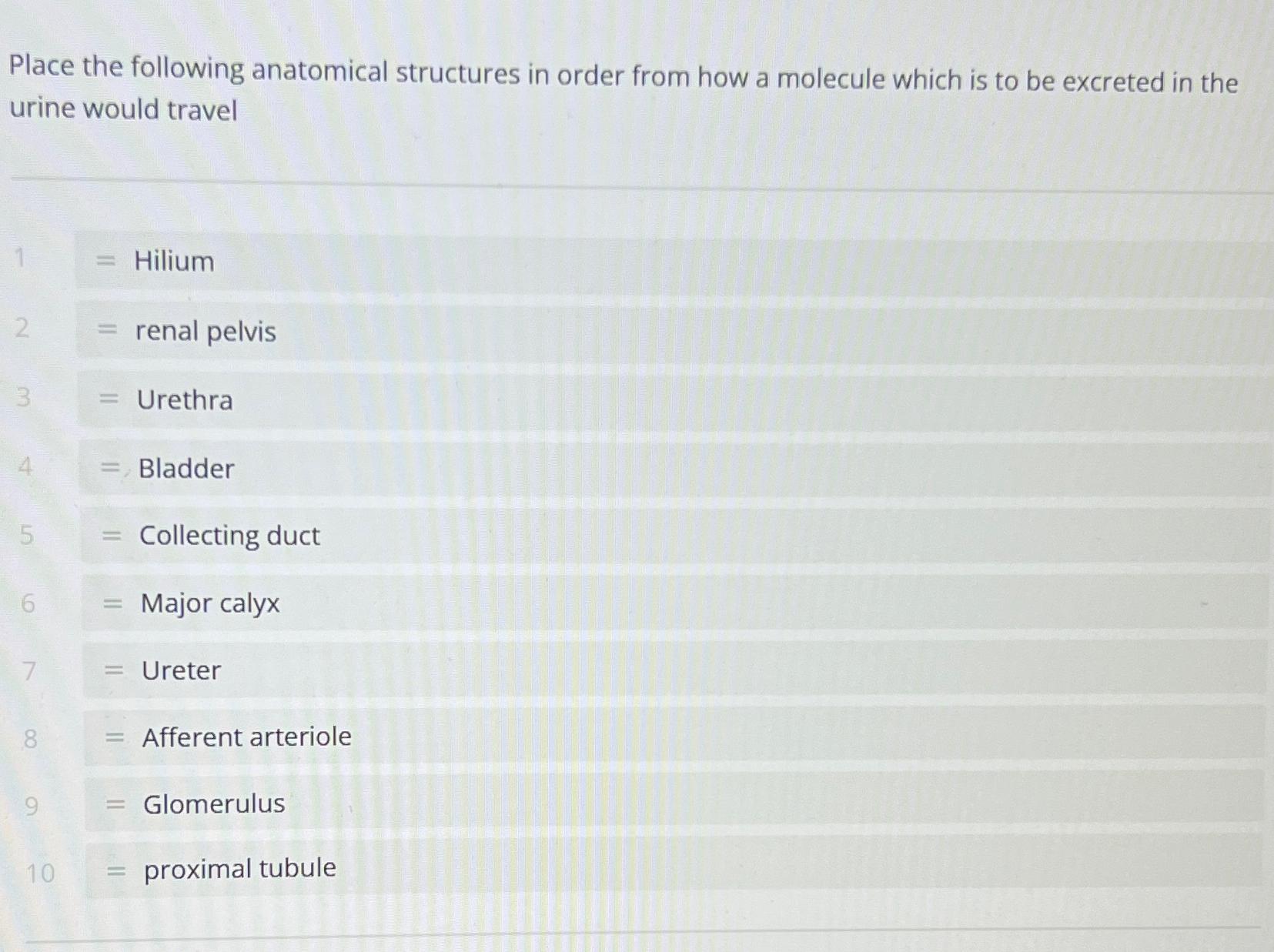 Solved Place the following anatomical structures in order | Chegg.com