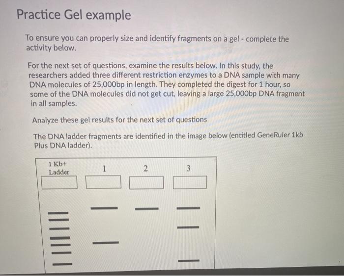 Solved Practice Gel example To ensure you can properly size | Chegg.com