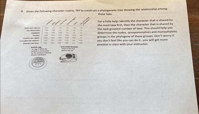 4. Given the following character matrix, TRY to | Chegg.com