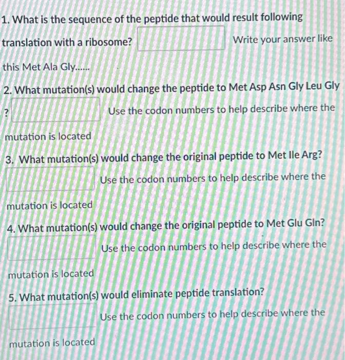 Solved Using this sequence with the codons numbered and the | Chegg.com