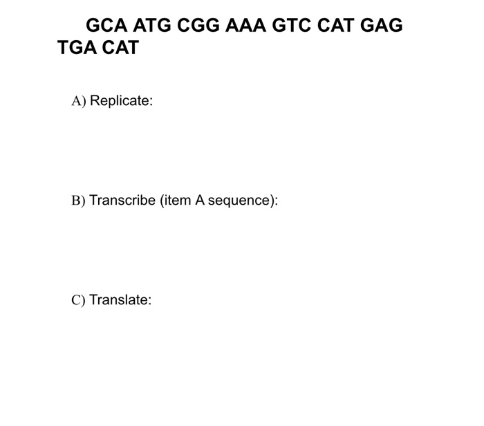 Solved GCA ATG CGG AAA GTC CAT GAG TGA CAT A) Replicate: B) | Chegg.com