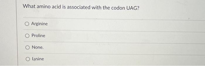 Solved What amino acid is associated with the codon UAG? | Chegg.com
