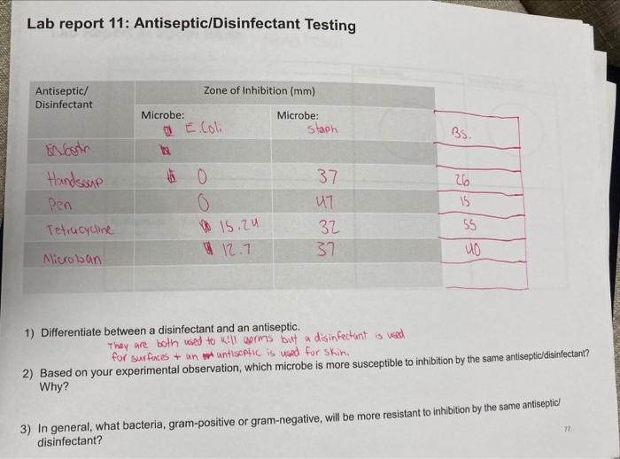 Solved Lab report 11: Antiseptic/Disinfectant Testing 1) | Chegg.com
