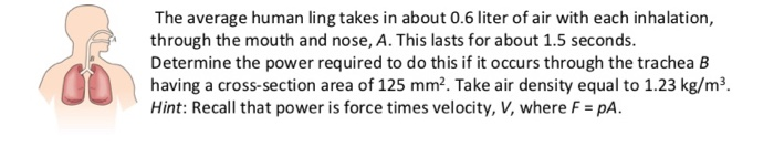The average human ling takes in about 0.6 liter of | Chegg.com
