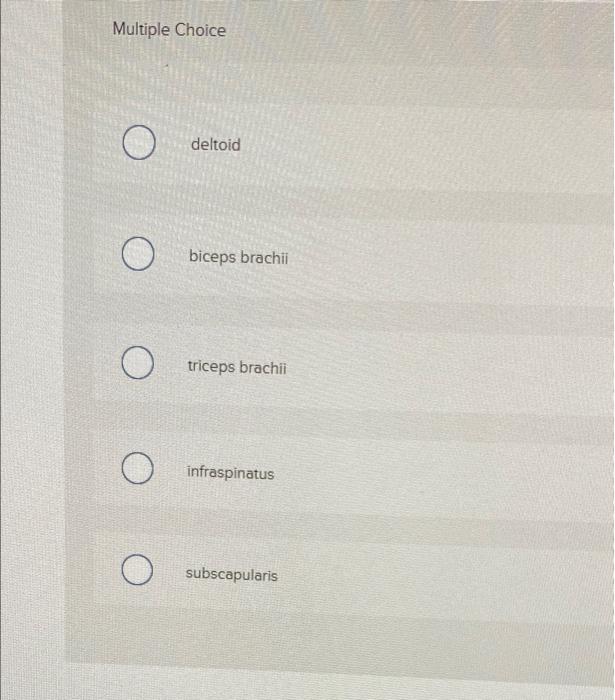 Solved Which structure is highlighted? Multiple Choice | Chegg.com