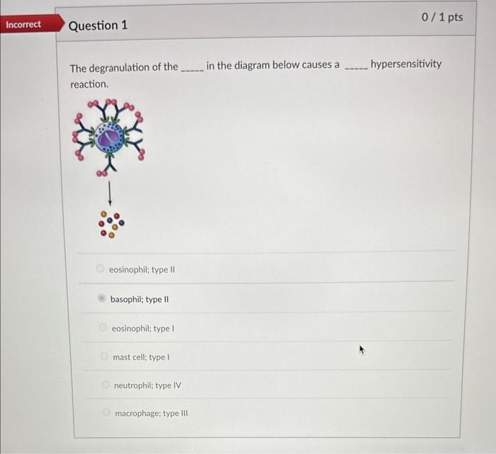 Solved The degranulation of the in the diagram below causes | Chegg.com