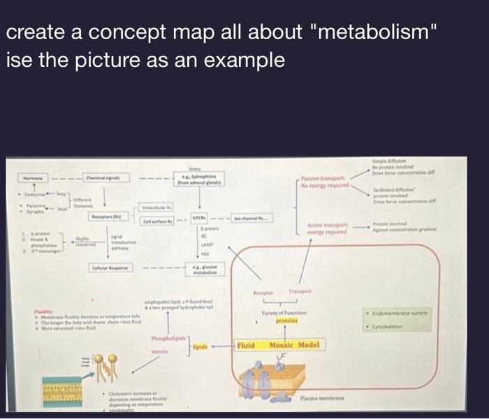 Solved create a concept map all about "metabolism" ise the | Chegg.com