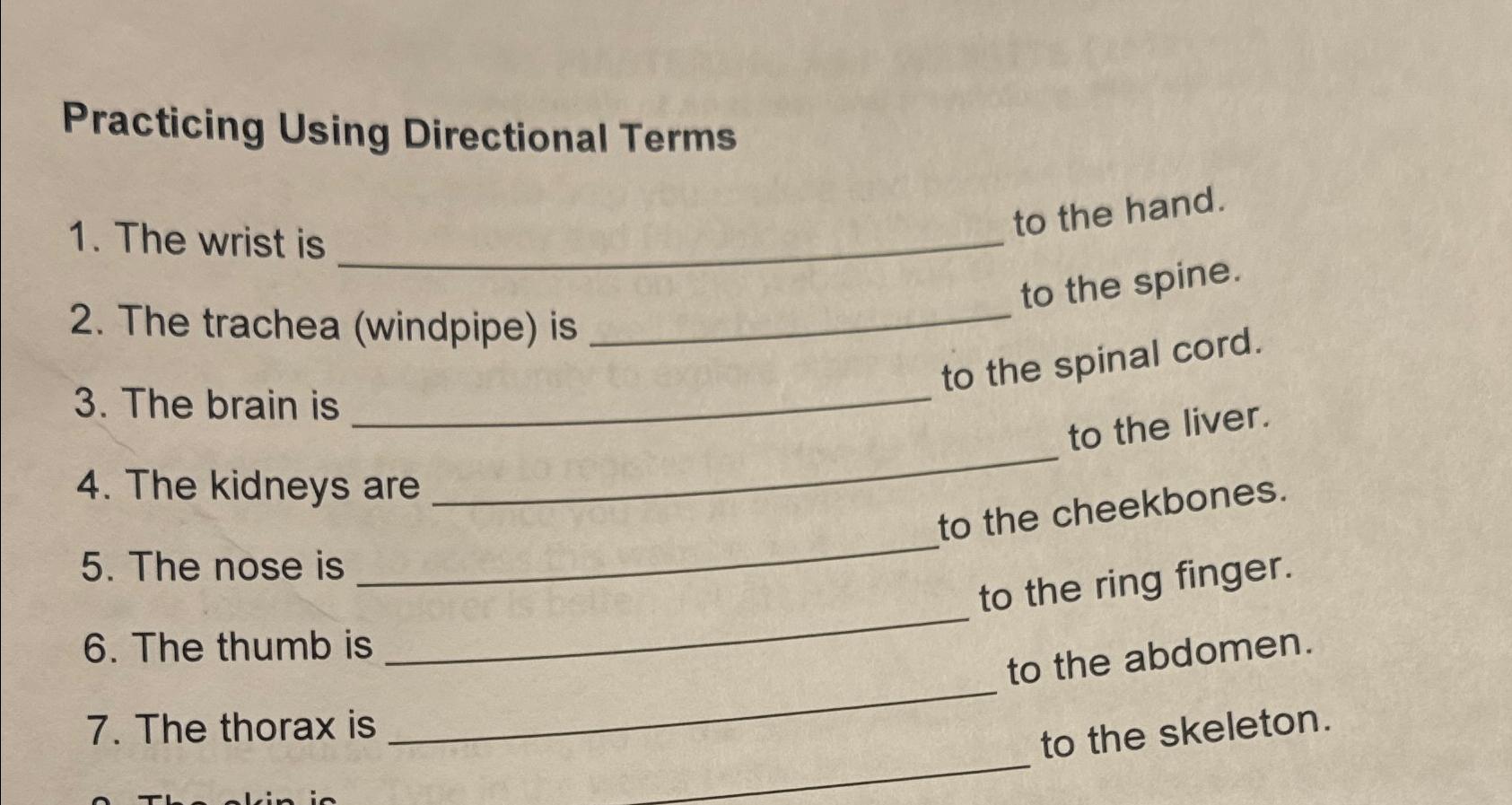 Solved Practicing Using Directional TermsThe wrist to the | Chegg.com