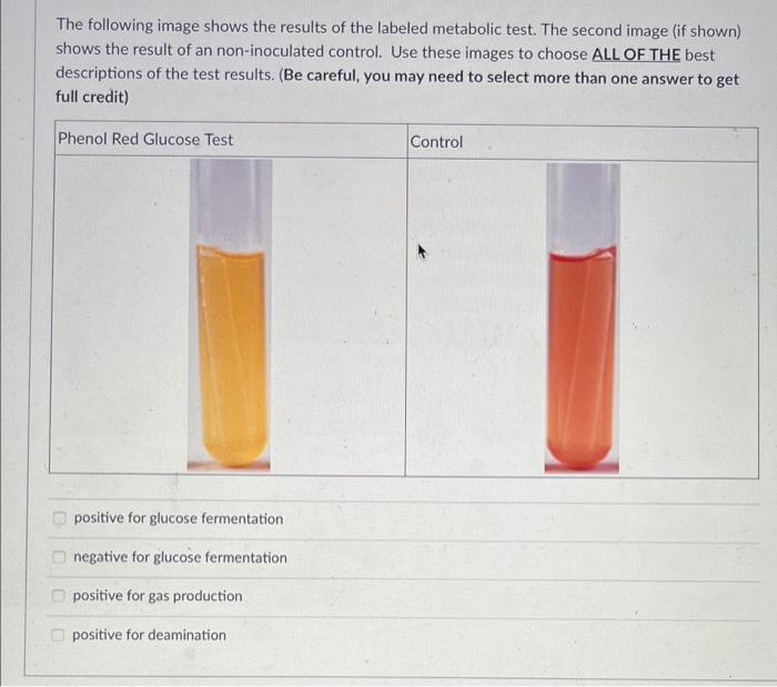 Solved The following image shows the results of the labeled | Chegg.com