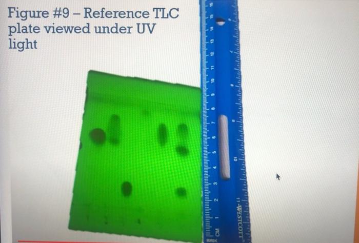 Solved Figure #9 - Reference TLC plate viewed under UV light | Chegg.com