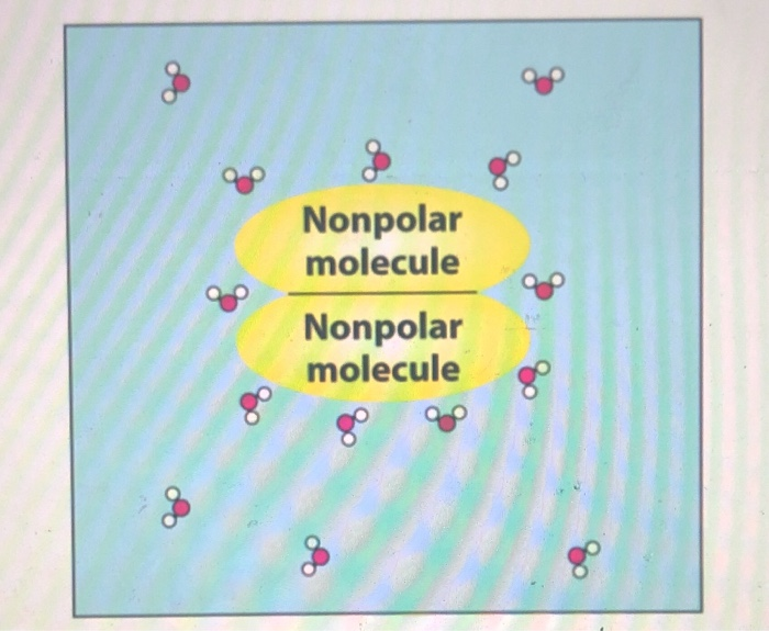 Solved Nonpolar molecule Nonpolar molecule 2 molecule | Chegg.com