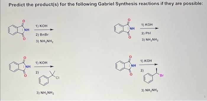 Solved Predict the product(s) for the following Gabriel | Chegg.com