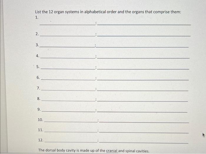 Solved List the 12 organ systems in alphabetical order and | Chegg.com