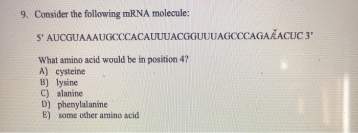 Solved 9. Consider the following mRNA molecule: 5. | Chegg.com