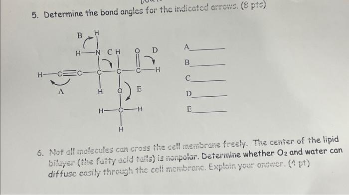 Solved 5. Determine the bond angles for the indicated | Chegg.com