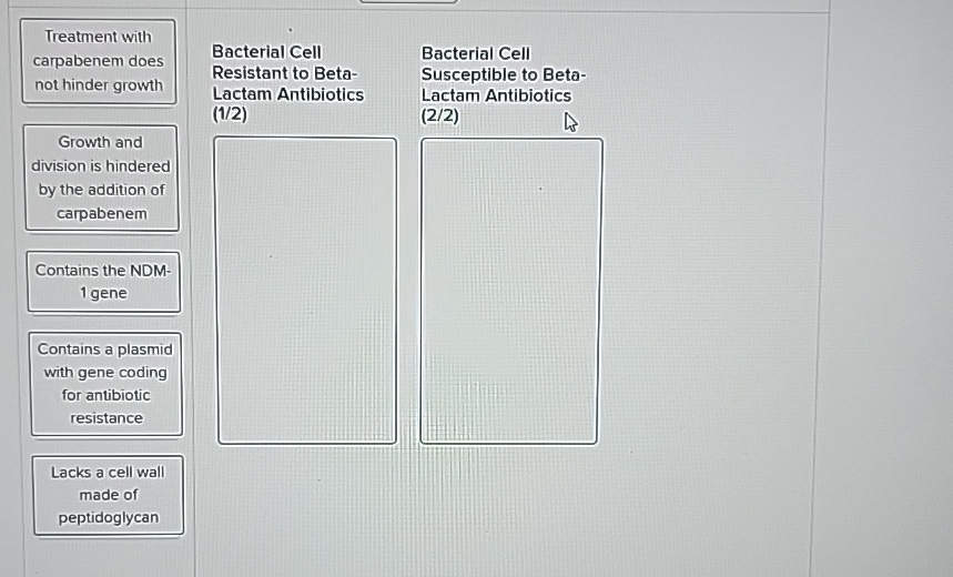Solved Bacterial CellSusceptible to BetaLactam | Chegg.com