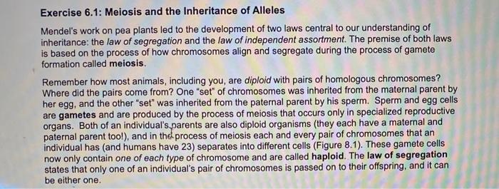 Solved Exercise 6.1: Meiosis and the Inheritance of Alleles | Chegg.com