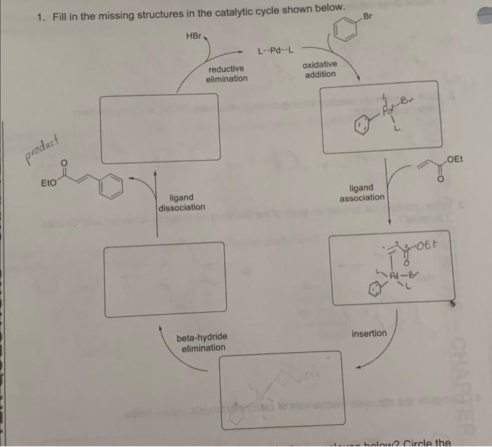 Solved 1. Fill in the missing structures in the catalytic | Chegg.com