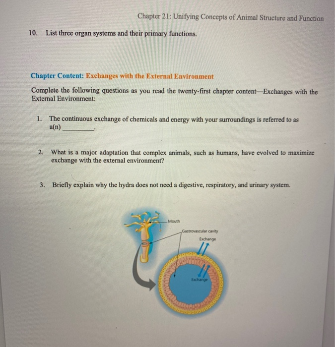 Solved Chapter 21: Unifying Concepts of Animal Structure and | Chegg.com