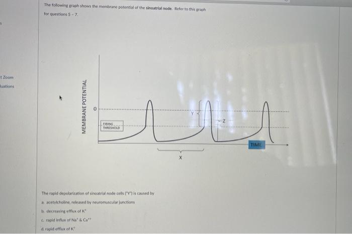 Solved The following graph shows the membrane potential of | Chegg.com