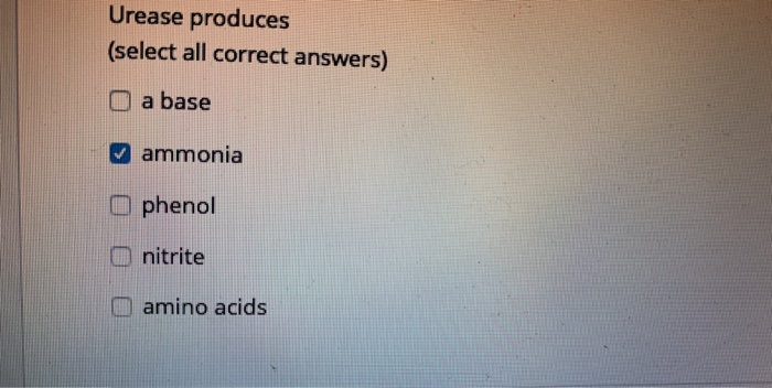 Solved Urease produces (select all correct answers) O a base | Chegg.com