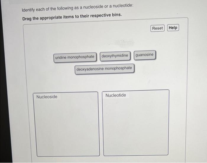 Solved What process ensures that the replication of DNA | Chegg.com