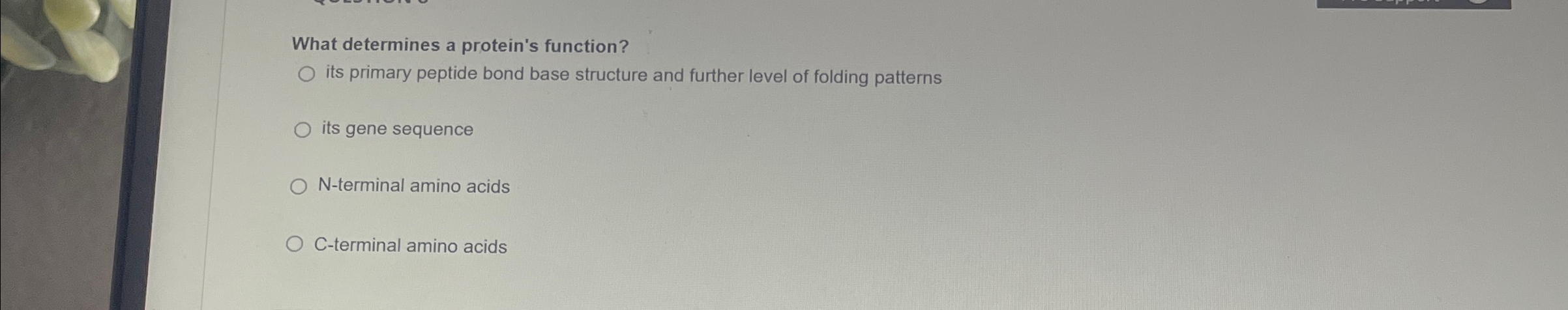 Solved What determines a protein's function? ﻿its primary | Chegg.com