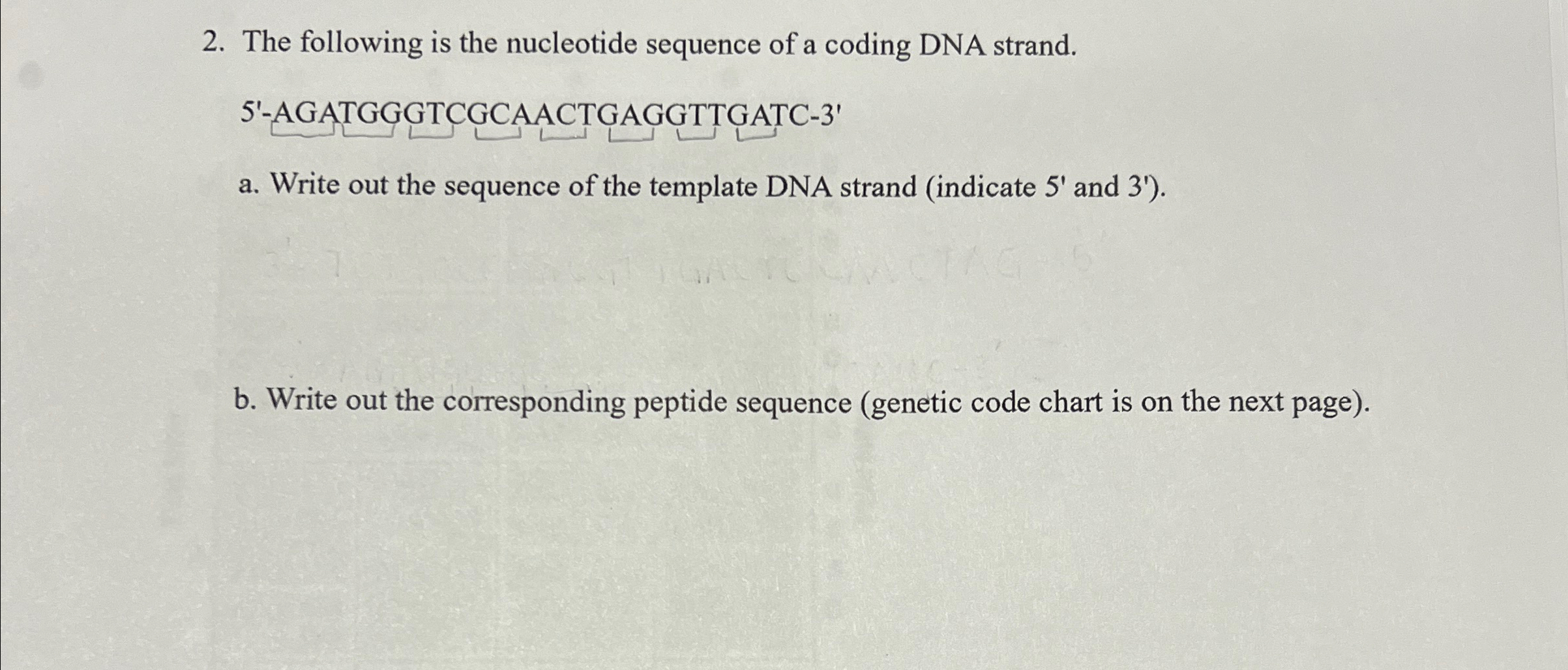 Solved The following is the nucleotide sequence of a coding | Chegg.com