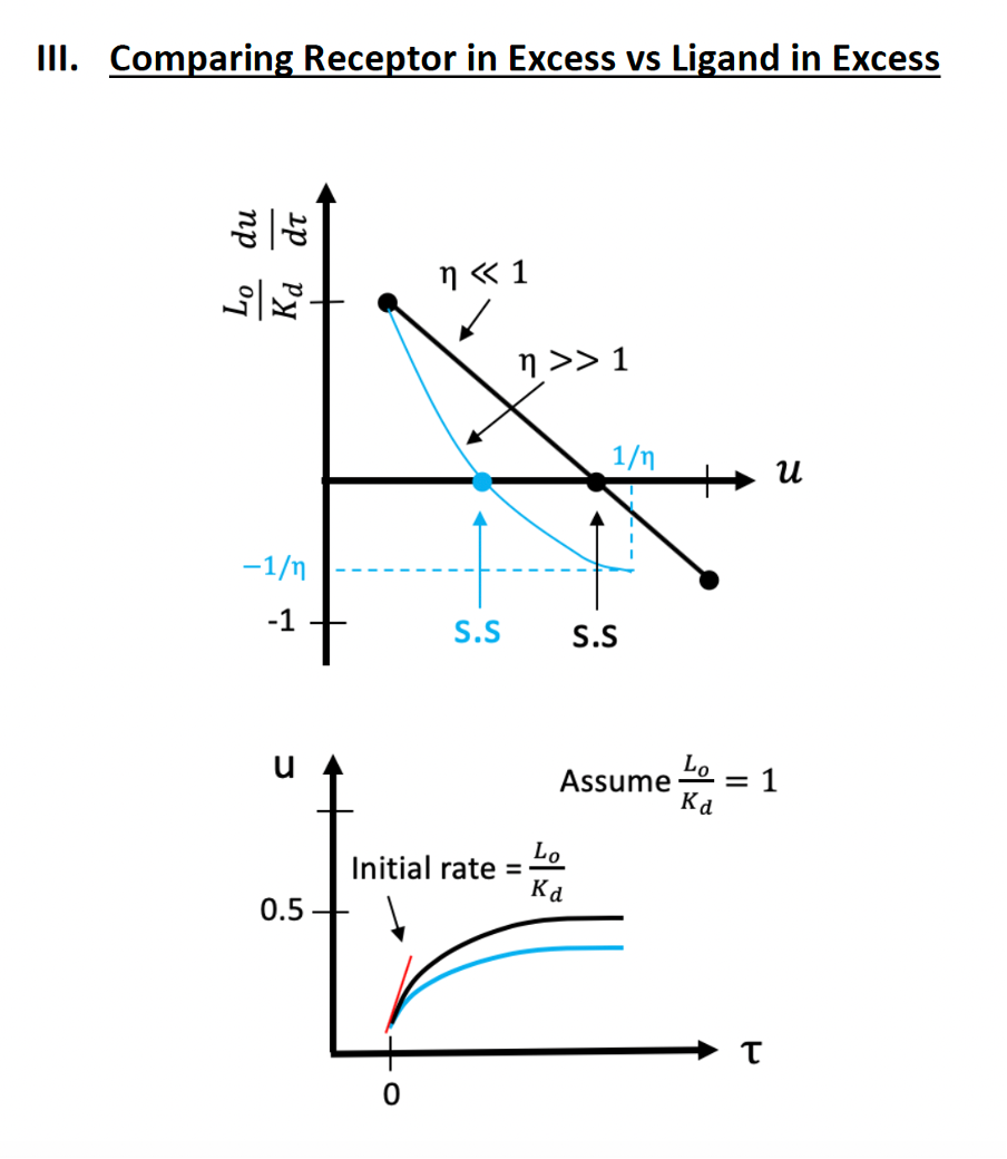 Solved What are the main takeaways of the modeling that | Chegg.com