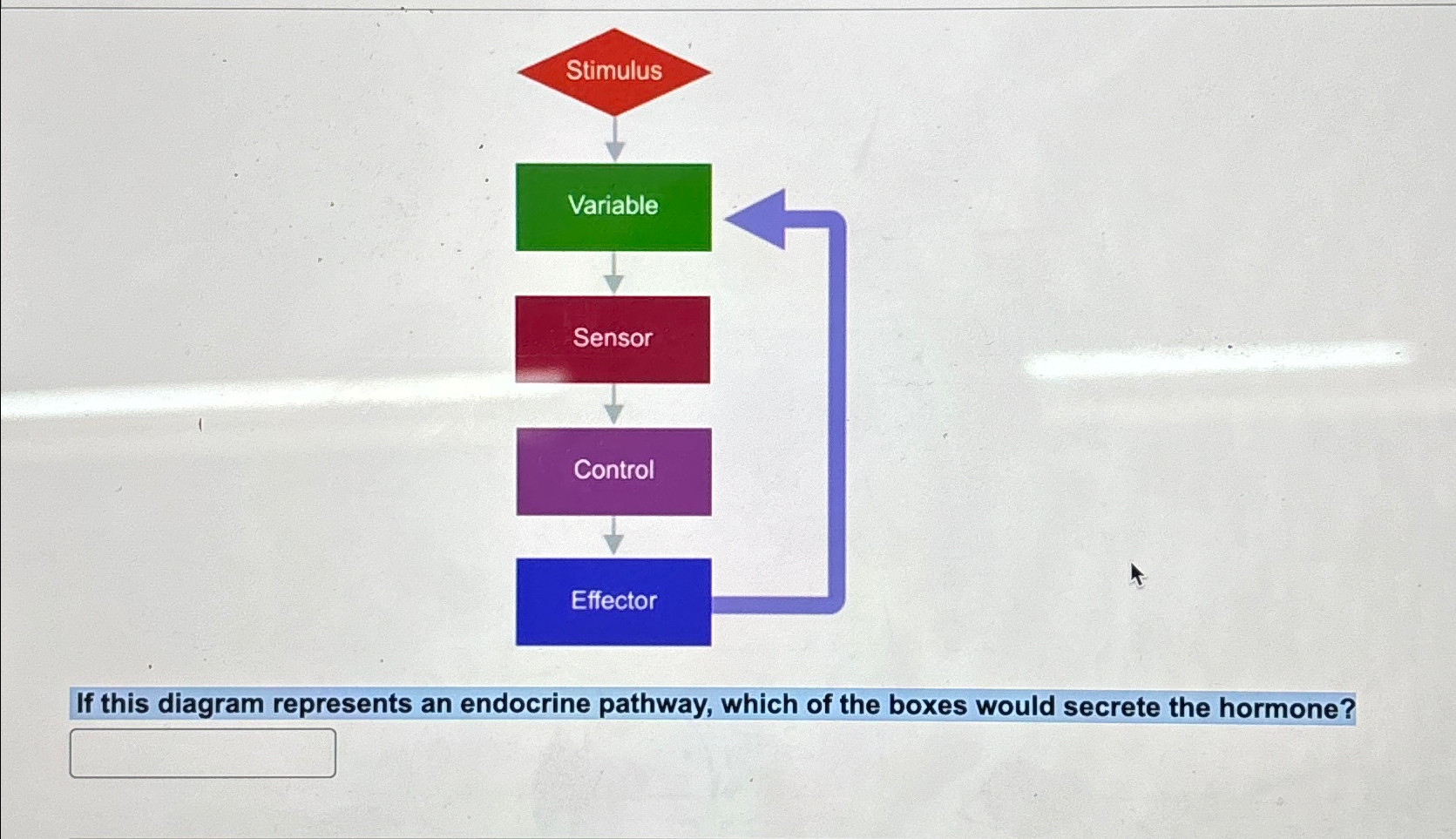 Solved If this diagram represents an endocrine pathway, | Chegg.com