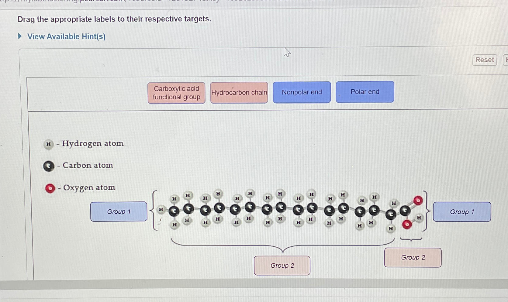 Drag the appropriate labels to their respective | Chegg.com