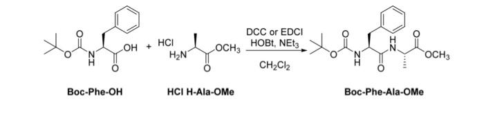 Solved subject : Organic chemistry - Amide Coupling: Phe-Ala | Chegg.com