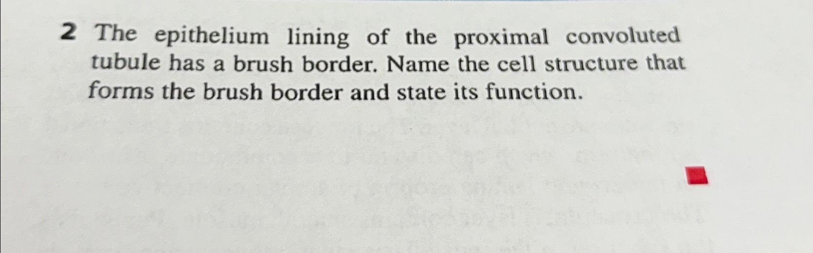 Solved 2 ﻿The epithelium lining of the proximal convoluted | Chegg.com
