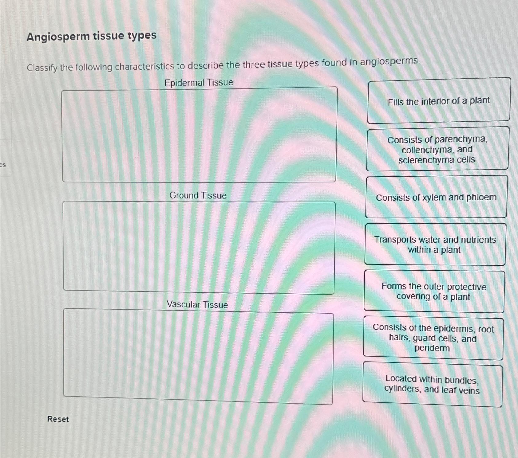 Solved Angiosperm tissue typesClassify the following | Chegg.com