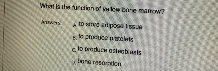 Solved What is the function of yellow bone marrow? Answers A | Chegg.com