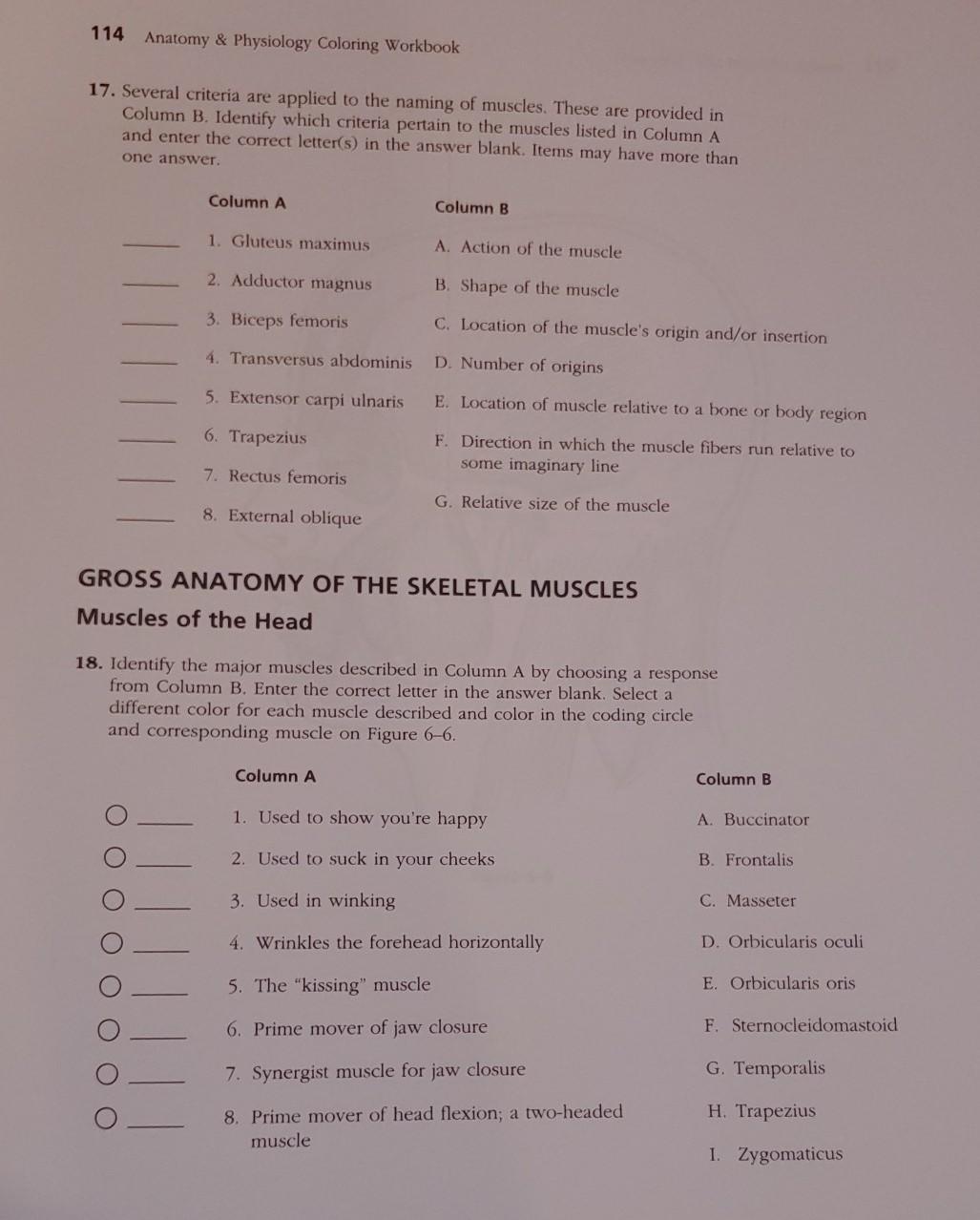 Solved 114 Anatomy Physiology Coloring Workbook 17 Chegg
