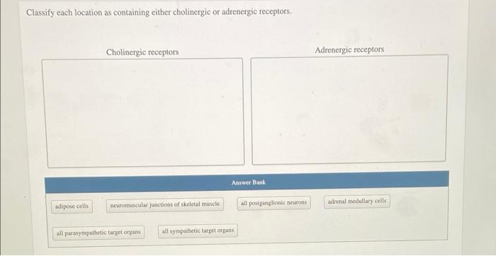 Solved Classify each location as containing either | Chegg.com