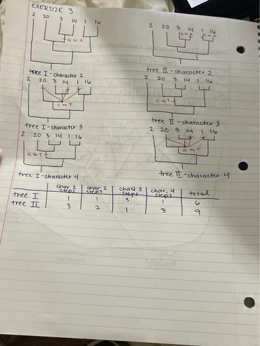 Exercise 4. Fossil Reconstruction of Caminalcules | Chegg.com