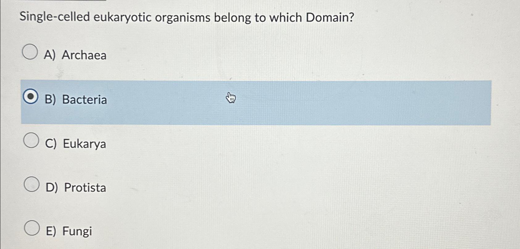 Solved Single-celled eukaryotic organisms belong to which | Chegg.com