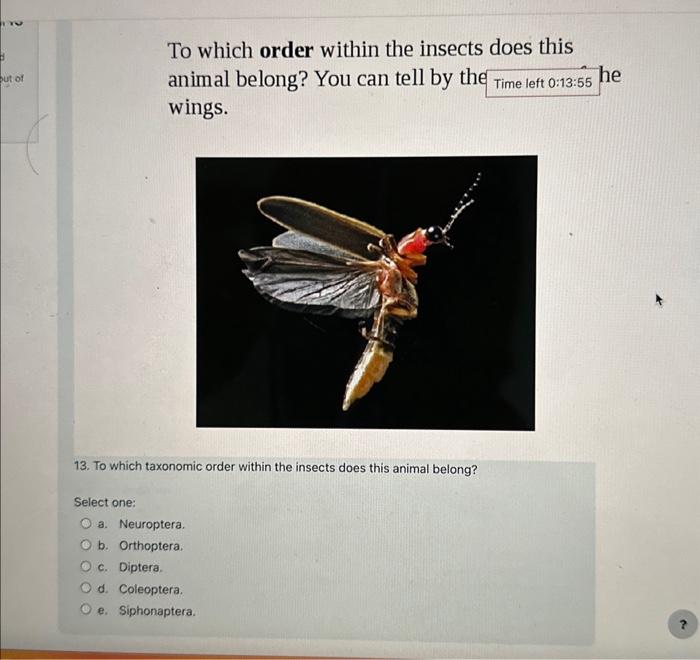 Solved To which order do these animals belong? 14. To which | Chegg.com