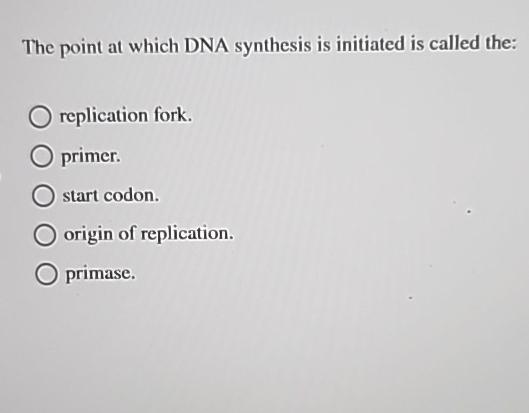 Solved The point at which DNA synthesis is initiated is | Chegg.com