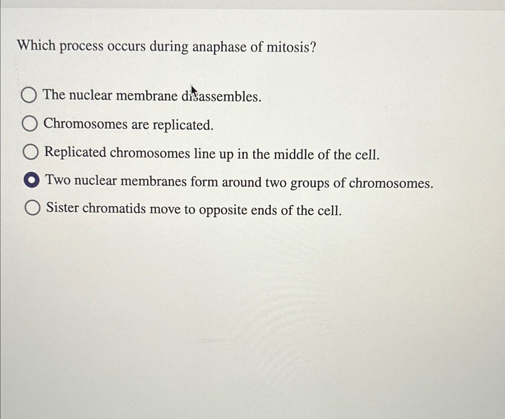 Solved Which process occurs during anaphase of mitosis?The | Chegg.com